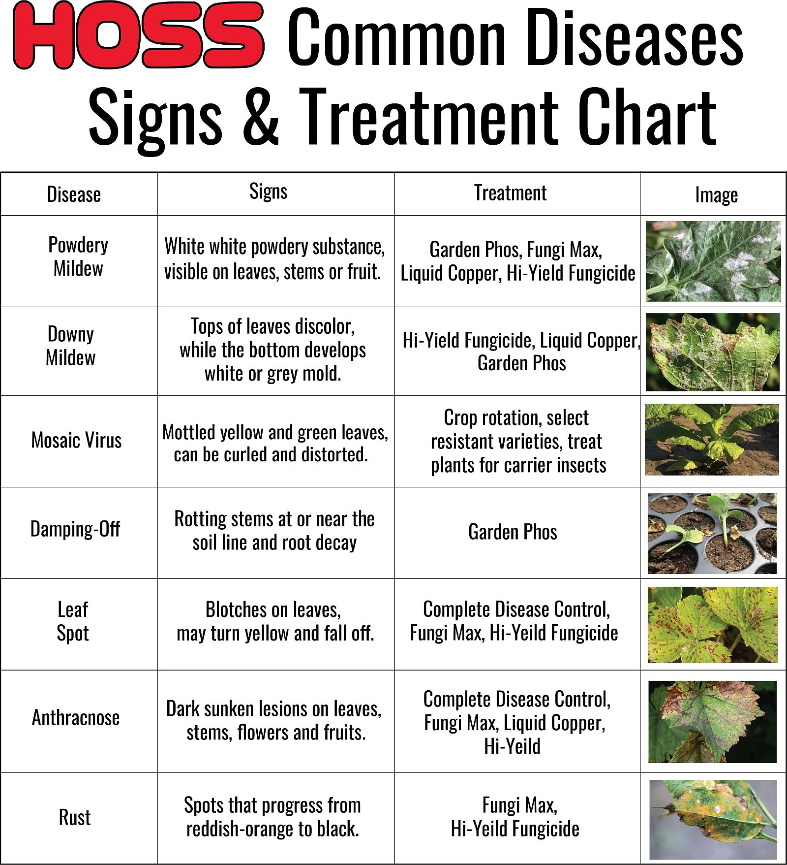 Disease Identification – Sundown Farms